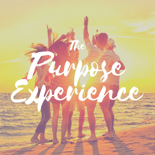 The Purpose Experience